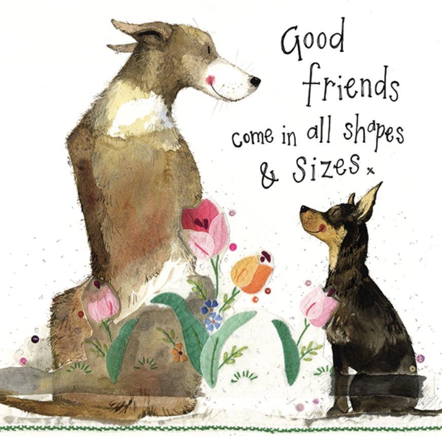 Good Friends Come In All Shapes and Sizes- Large Card – Lemon And ...