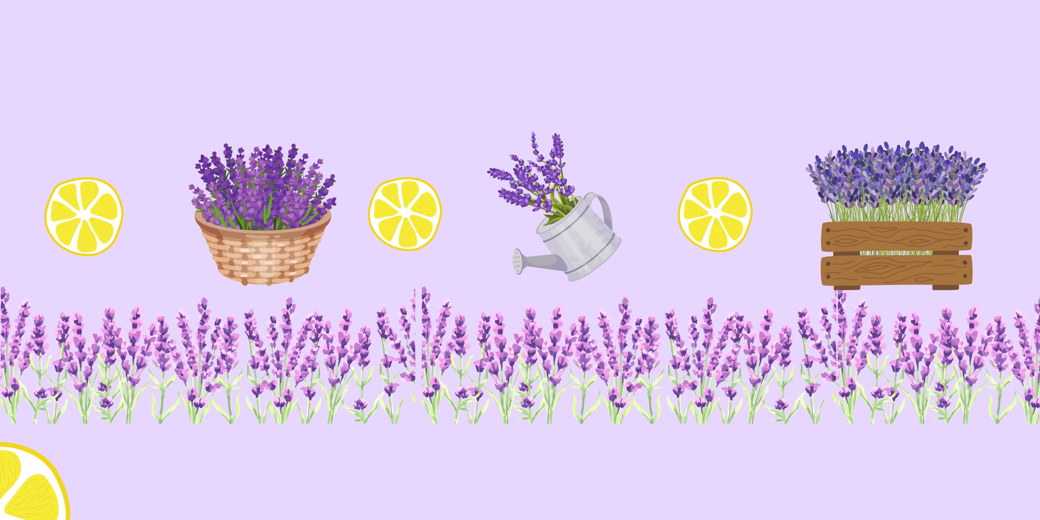 Lavender Items – Lemon And Lavender Toronto