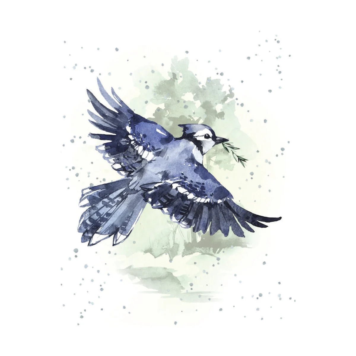 Enclosure Card-Blue Jay – Lemon And Lavender Toronto