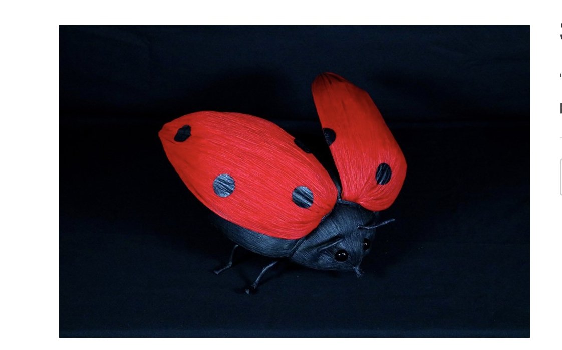 Hanging Giant Lady Bug – Lemon And Lavender Toronto